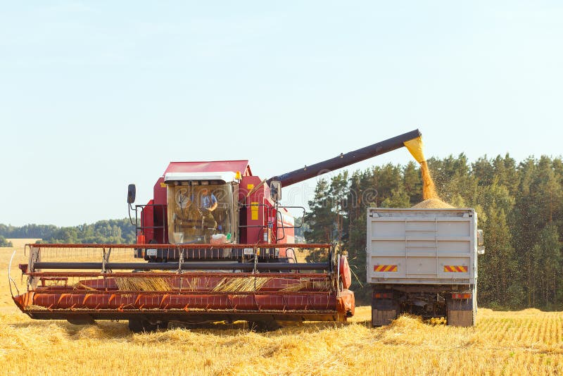 The Harvester is Bulk Harvested Grain Editorial Stock Photo - Image of ...