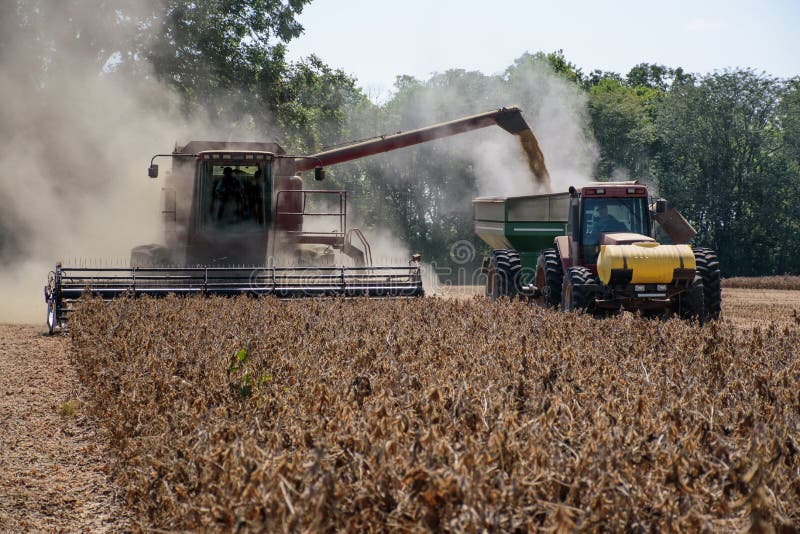 Chaff Blowing Stock Photos - Free & Royalty-Free Stock Photos from ...