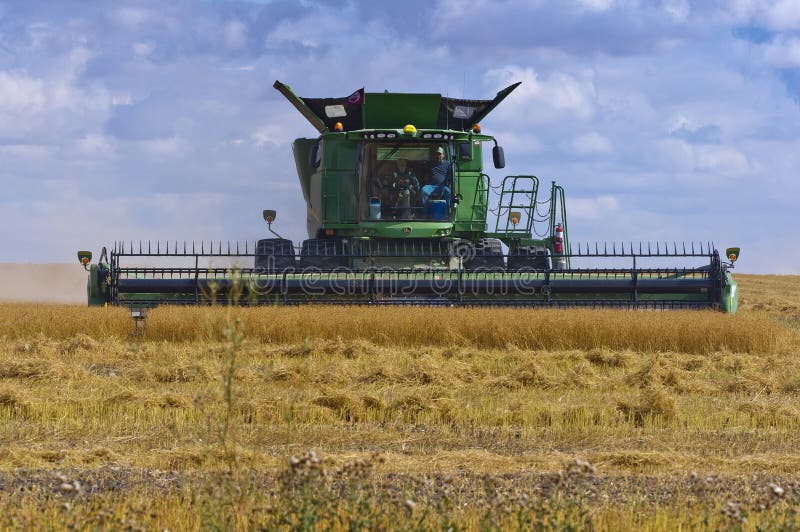 Harvester Cutting a Crop of Grain Editorial Photography - Image of ...