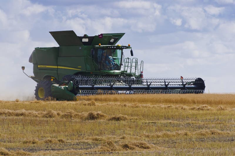 Harvester Cutting a Crop of Grain Editorial Photography - Image of ...