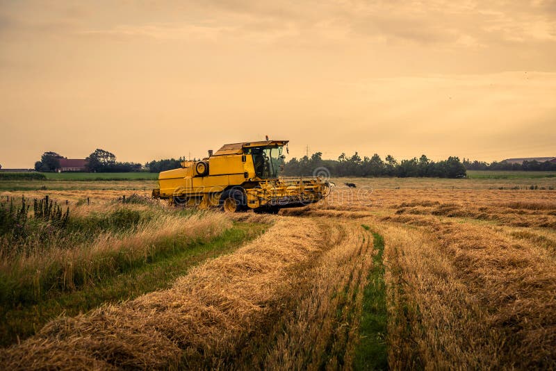 Harvester on a Field at a Farm Stock Photo - Image of land, conveyor ...