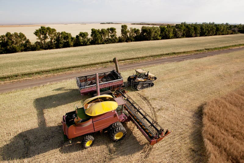 Grain Cart Dumping Corn into Semitruck in Corn Field during Harvest ...