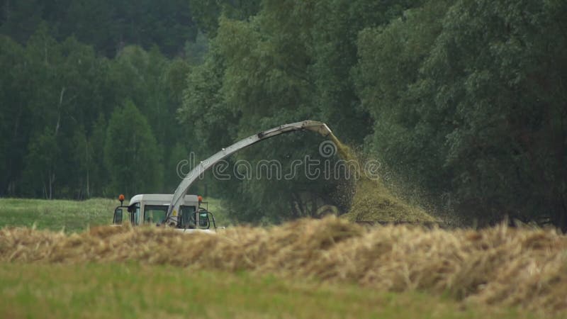 Harvester Working in a Field for Harvesting Stock Video - Video of ...