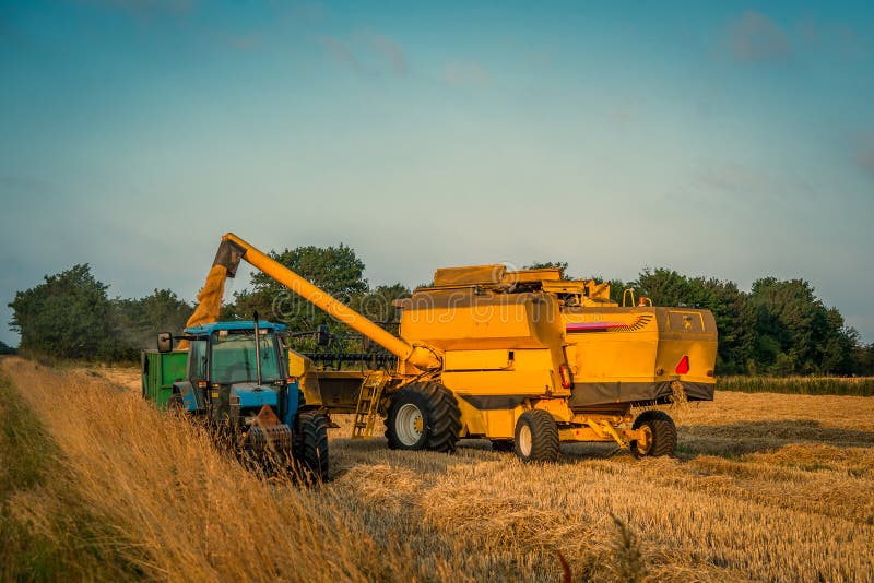 Harvester Loading Grain on a Truck Stock Photo - Image of country, farm ...