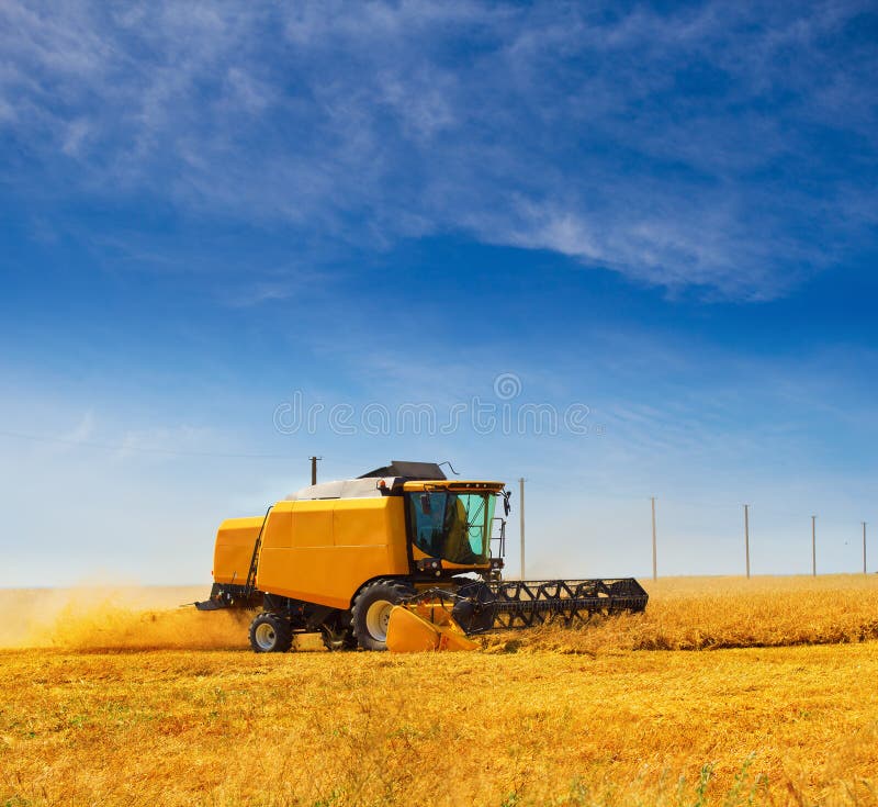Harvester Machine in the Field Stock Image - Image of barley ...