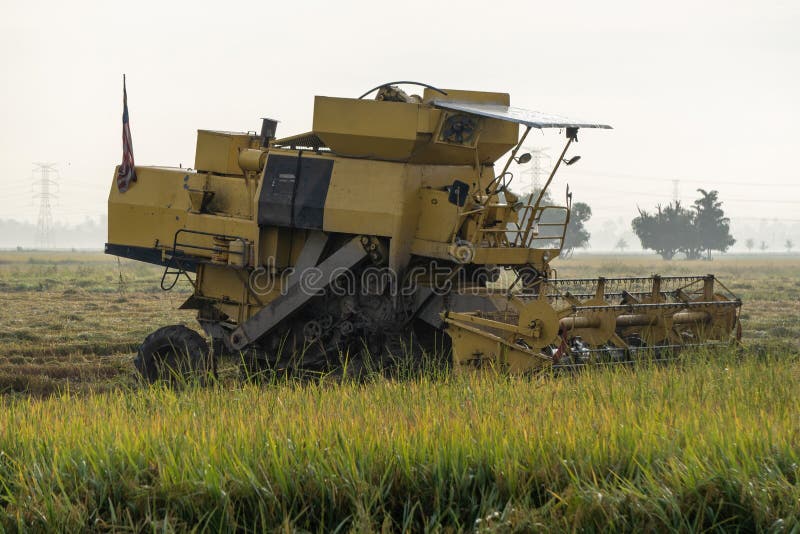 Harvester Machine in a Paddy Field Stock Image - Image of farm, vehicle ...