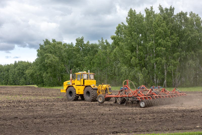 Harvester Machine Working in Field on Summer Day. Field Works in Summer ...
