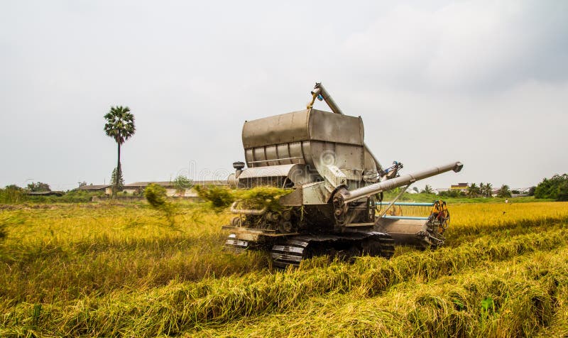Harvester in rice field stock photo. Image of work, equipment - 60290048