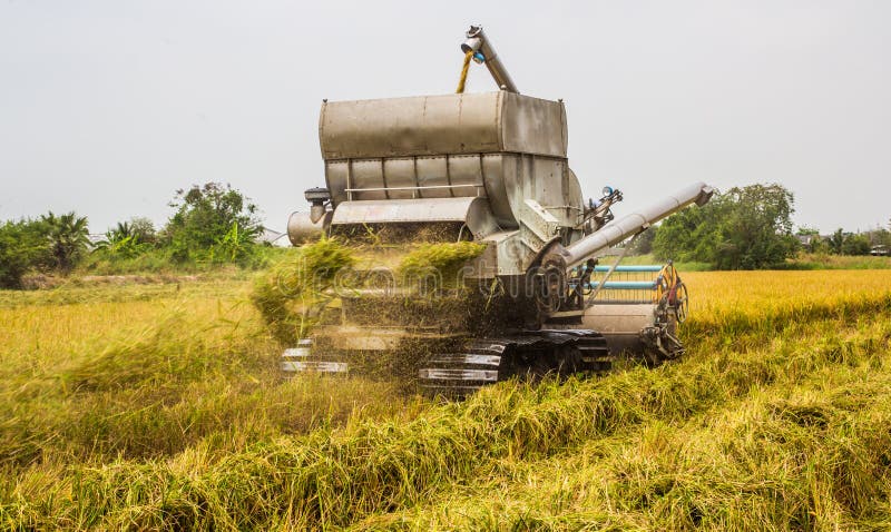Harvester in rice field stock photo. Image of land, industry - 60290612