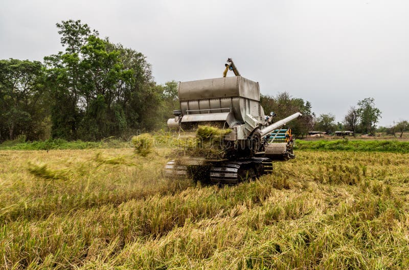 Harvester in rice field stock image. Image of combine - 60291383
