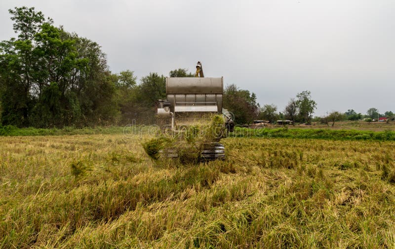 Harvester in rice field stock image. Image of yellow - 60291813
