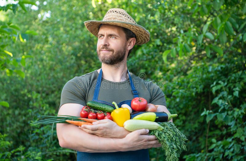 Harvester in Straw Hat Hold Fresh Ripe Vegetables Stock Image - Image ...