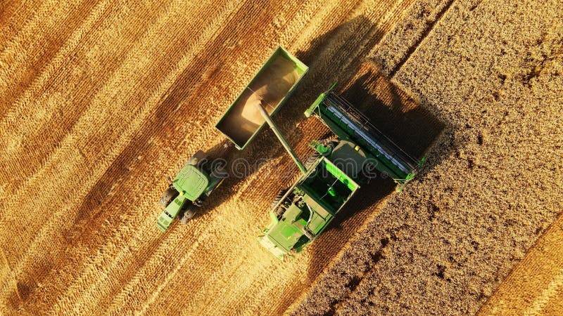 Harvester Unloading Crops in a Container Storage Carried by Tractor ...