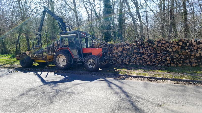 Harvester Working Tractor Loads a Wooden Trailer in Forest Stock Photo ...
