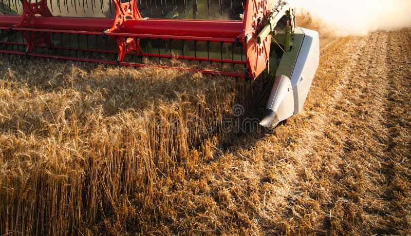 Harvesting Combine in the Wheat Stock Image - Image of agricultural ...