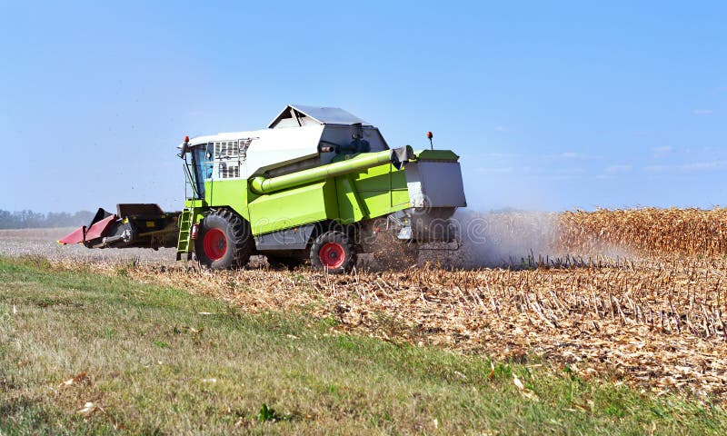 Harvesting Corn with a Combine in Season and Unloading Grain into a ...