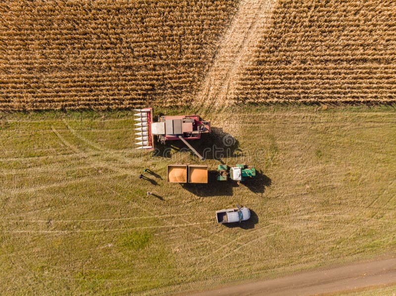 Harvesting Corn in Fall Skyline Aerial, Shooting from Air Stock Photo ...
