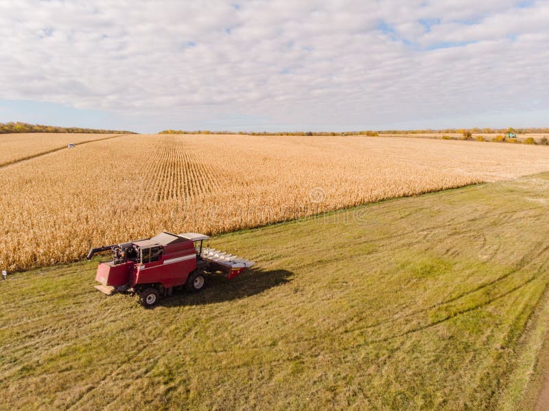 Harvesting Corn in Fall Skyline Aerial, Shooting from Air Stock Photo ...