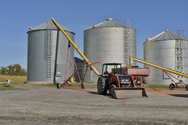 Harvesting corn stock photo. Image of cultivate, nature - 37004012