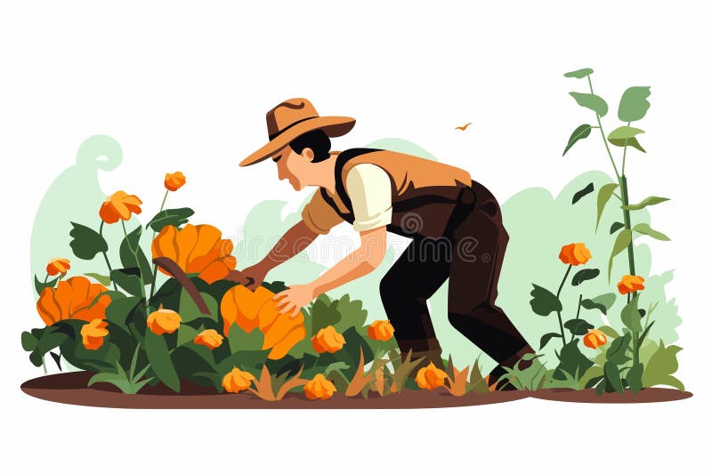 Harvesting Crops Vector Flat Minimalistic Isolated Illustration Stock ...