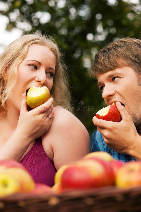 Harvesting - eating apples stock photo. Image of handsome - 12309976