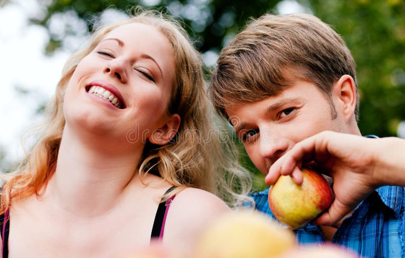 Harvesting - eating apples stock photo. Image of apples - 16716322