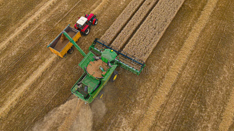 Harvest in the Field, Tractor in the Field, Harvester Harvesting Grain ...