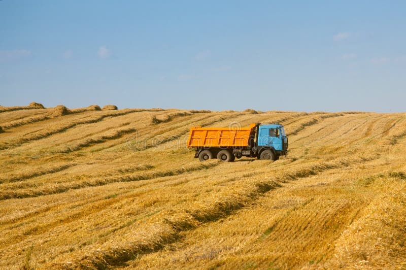 Harvesting Grain Crops in the Field with Rural Machine Stock Photo ...
