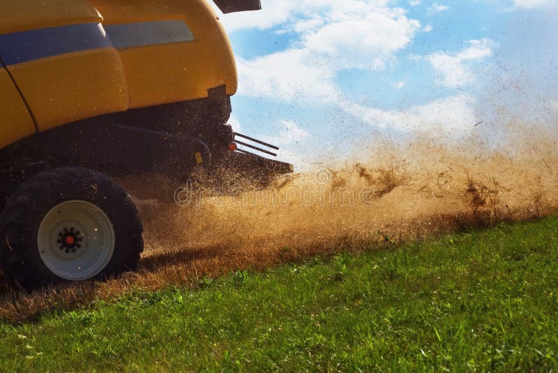 Harvesting Grain with Flying Straw. Stock Image - Image of industry ...