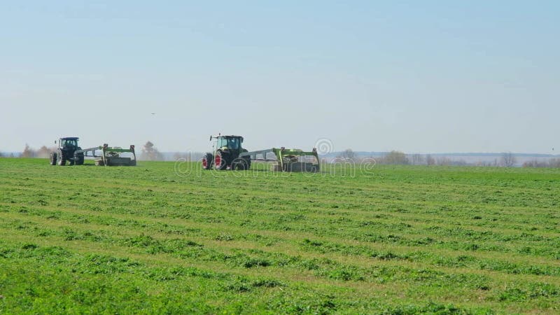 Harvesting Green Fodder in the Field Stock Footage - Video of ...