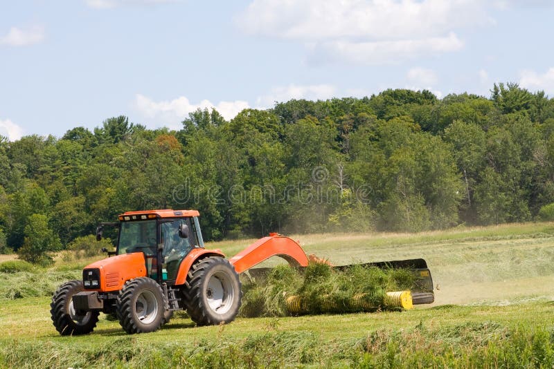 Harvesting hay. stock image. Image of piling, harvest - 10962037