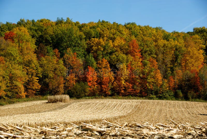 Harvesting hay in the fall stock image. Image of fall - 26382041