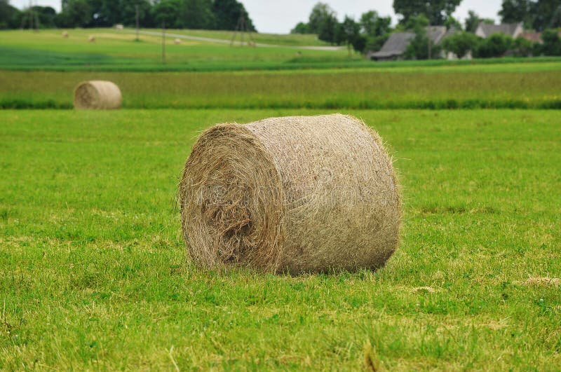 Harvesting hay stock image. Image of hill, harvesting - 66893823