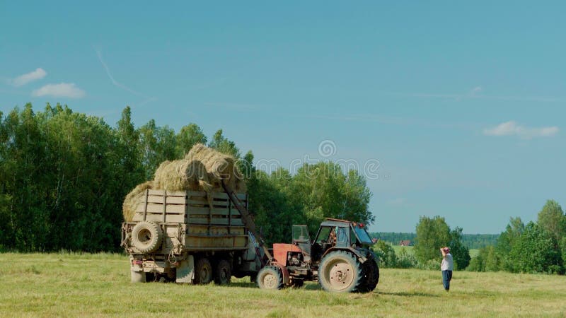Harvesting Hay. Tractor Loading Hay Bales on a Trailer Stock Video ...