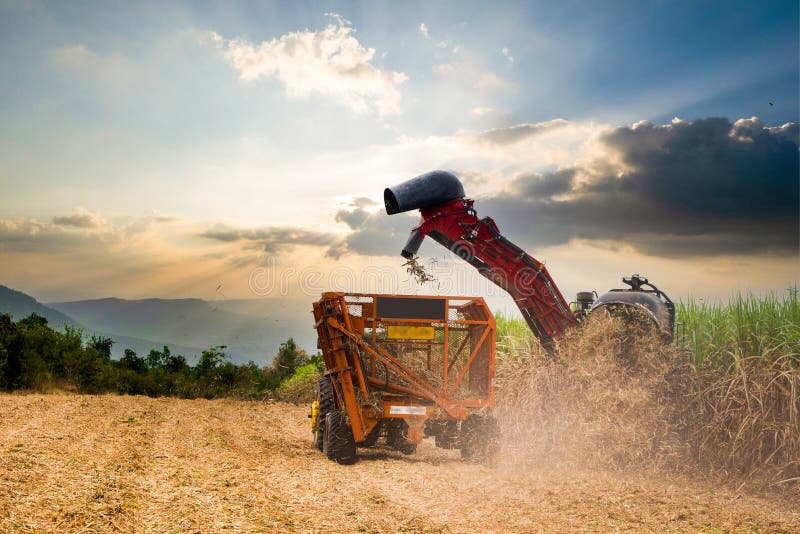 Harvesting machine working stock image. Image of aerial - 238431939