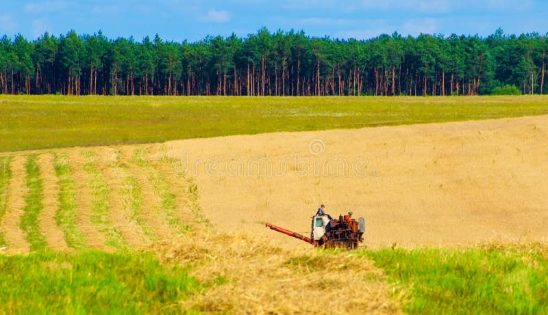 Harvesting of rye stock photo. Image of crop, objects - 38309262