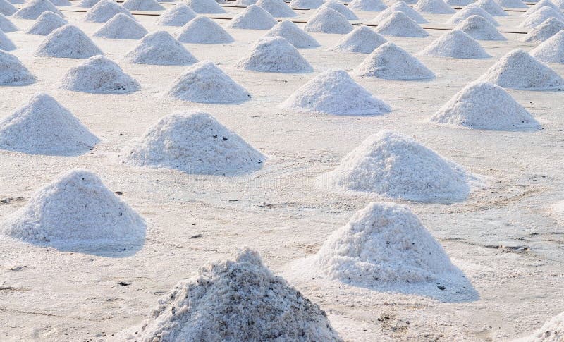 Harvesting Salt on Salt Beds Stock Photo - Image of soil, salty: 187050952