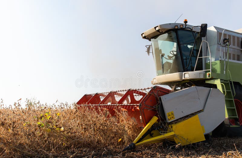 Harvesting of Soybean Field with Combine Stock Image - Image of gold ...