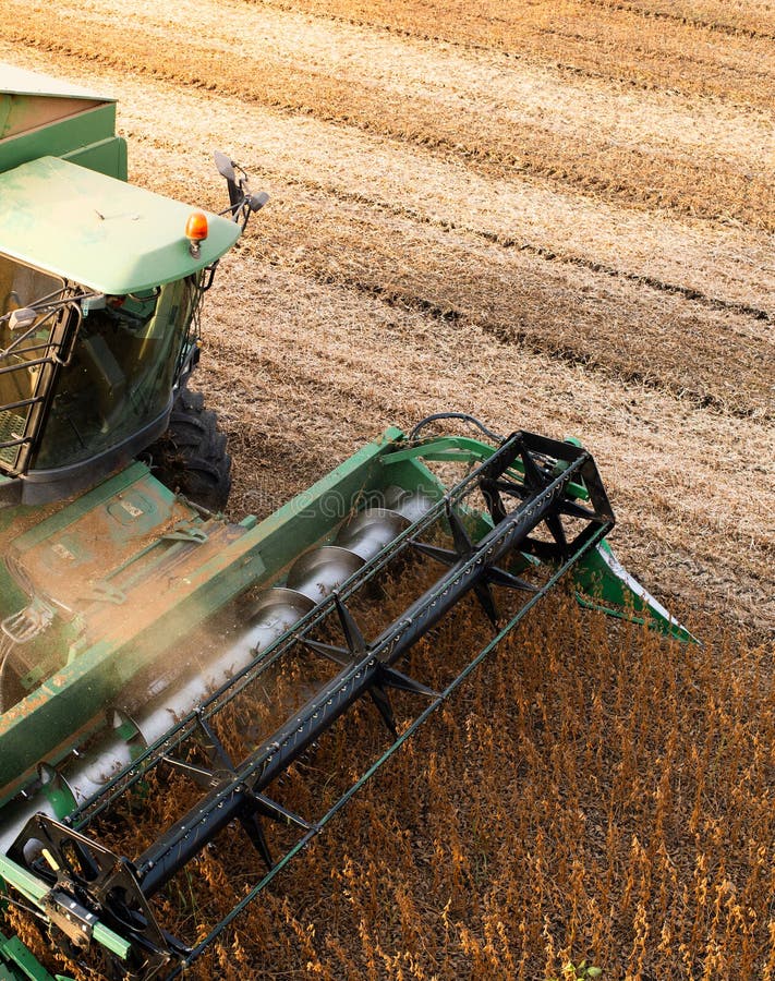 Harvesting of Soybean Field with Combine Stock Image - Image of crop ...