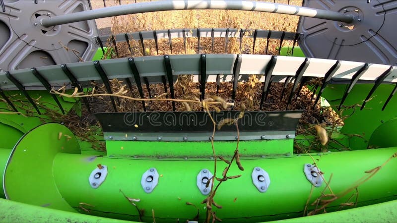 Harvesting Soybeans, a Close-up of the Header Stock Footage - Video of ...