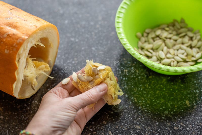 Harvesting Squash Seeds. a Woman Uses Her Hand To Pull Out the Pulp ...