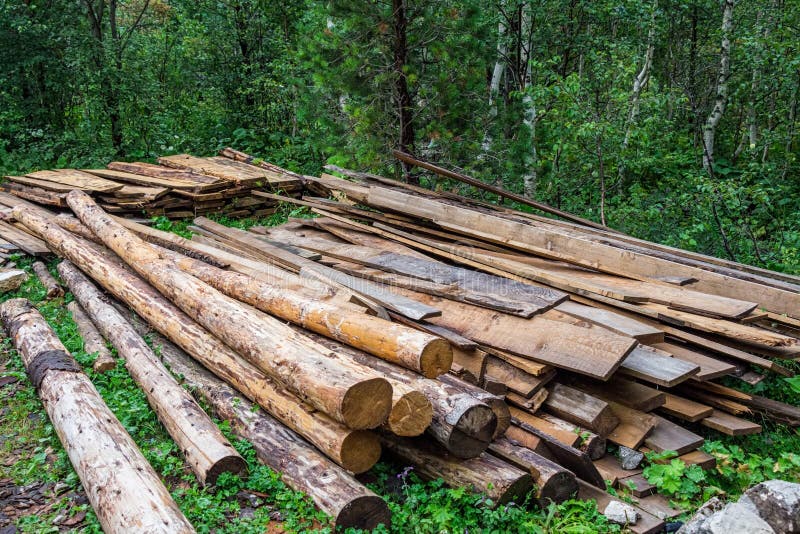 Harvesting timber logs stock image. Image of environment - 83532363