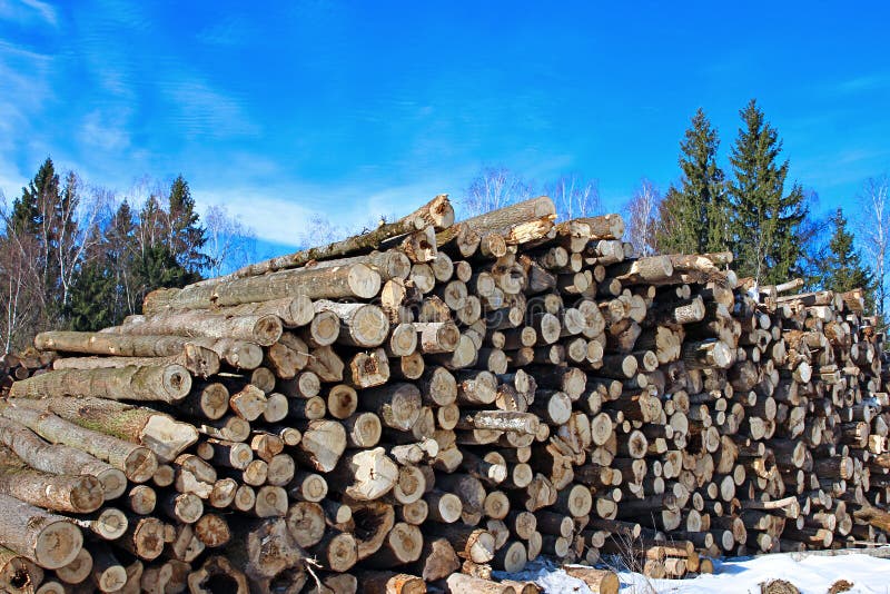 Winter timber harvesting stock image. Image of logs, frost - 28404785