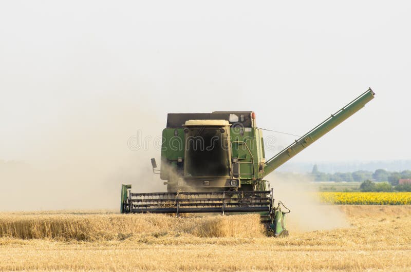 Harvesting stock image. Image of farming, growing, grain - 35051783