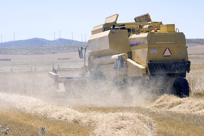 Harvesting Wheat stock photo. Image of combine, green - 20353600