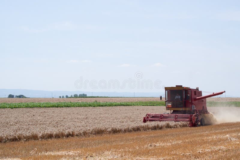 Harvesting Wheat stock image. Image of gold, combine - 32409113