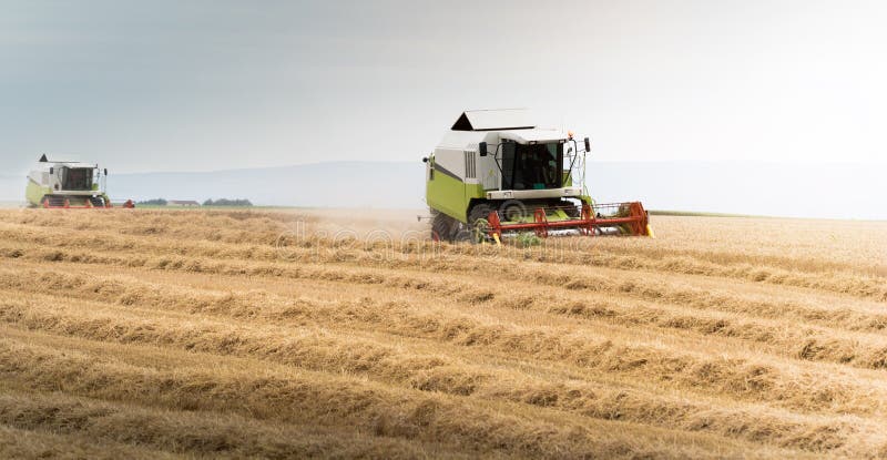 Harvesting of Wheat Field with Combine Editorial Photography - Image of ...