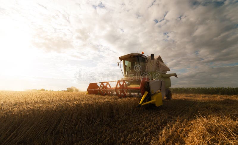 Harvesting of Wheat Field with Combine Stock Photo - Image of nature ...
