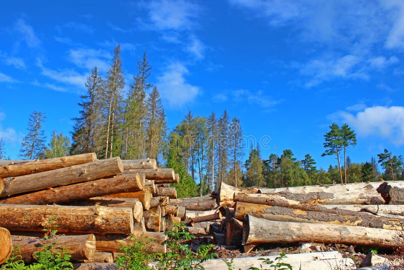 Logging in Russia stock photo. Image of processing, russia - 27568480