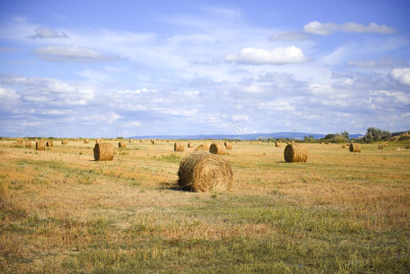 Harwested fiels stock image. Image of europe, bale, crops - 58155001